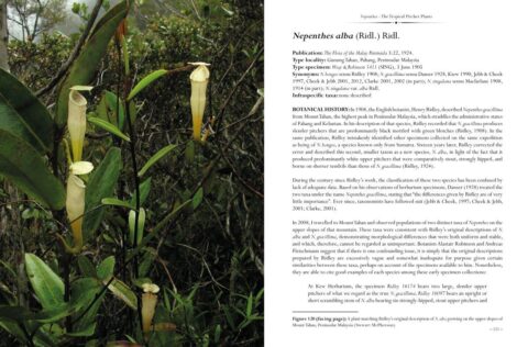 Nepenthes – The Tropical Pitcher Plants Volumes 1, 2 & 3 | Redfern ...